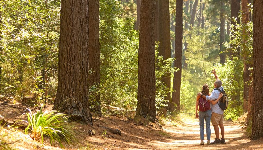 Beyond the Vines: Best Napa Valley Hiking Trails | Calistoga Hiking